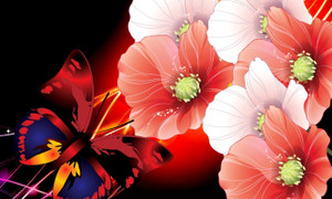 butterfly poster & Titli POSTERS, Dragonfly Poster, Insects Poster ...