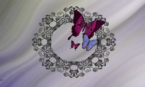 butterfly poster & Titli POSTERS, Dragonfly Poster, Insects Poster ...