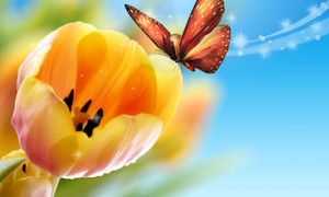 butterfly poster & Titli POSTERS, Dragonfly Poster, Insects Poster ...