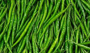 SDC Hari mirch seed, Mirch Seed Price in India - Buy SDC Hari mirch ...