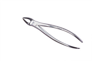 RightCare Deluxe Quality Hand Forged Tooth Extraction Forceps-Left ...