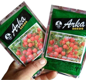 Boomani Tomato Arka Rakshak F1 Hybrid Vegetable Tomato Seeds 30g (pack ...