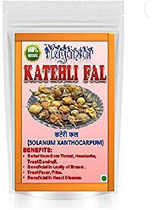 YUGANTAR KATERI FRUIT-KATEHLI FAL-SOLANUM XANTHOCARPUM-BHATKATIYA ...