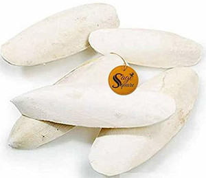 Sage Square Natural Calcium Source Cuttlebone Fish for Turtle (200grm ...