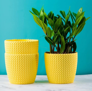 SNSHOPEE Premium & Elegant Yellow Vase Planter Gamla for Table Top and ...