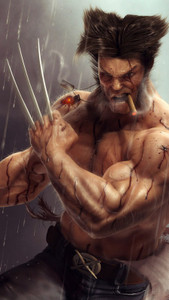 Wolverine Artwork Matte Finish Poster Paper Print - Animation ...