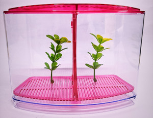 TAIYO Mini Betta Fish Double House Tank Rectangle Aquarium Tank Price ...