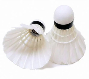 Steller Pure Feather Badminton Shuttle Cock Feather Shuttle - White ...