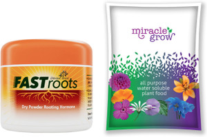 Divine Tree FASTROOTS Dry Powder Rooting Hormone (50 G)& Miracle Grow ...