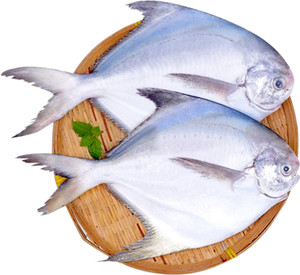 Adam's Fresh Meat White Pomfret Whole Price in India - Buy Adam's Fresh ...