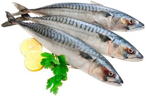 Adam's Fresh Meat Mackerel Clean Price in India - Buy Adam's Fresh Meat ...