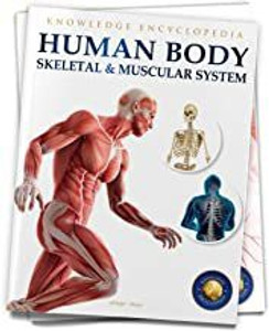 Human Body -Skeletal And Muscular System: Buy Human Body -Skeletal And ...