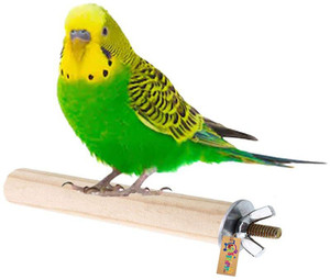 Western Era Perch/Stand Bird Toy (Small Birds) (4 Inches) Bird Cage ...