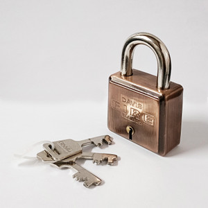 TrustShip ™8 Leavers Pad Door Lock 3 Keys ( Sirf Aapni chaabi se khule ...