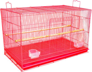 Buraq Large 2.5 Ft Bird cage Best for Love Bird Cages Parrot, Parakeet ...