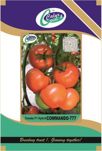 CALYXSEEDS : COMMANDO-777, F1 HYBRID TOMATO, HYBRID TOMATO, HYBRID ...