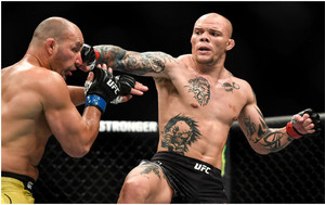 UFC Big Size Flex Poster For Room MD-4313 Photographic Paper ...