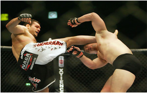 UFC Big Size Flex Poster For Room MD-4309 Photographic Paper - Sports ...