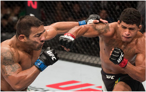 UFC Big Size Flex Poster For Room MD-4310 Photographic Paper - Abstract ...