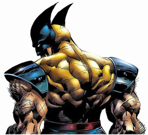 Wolverine Big Size Flex Poster For Room MD-2442 Photographic Paper ...