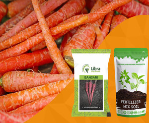 NATURAL AND HERBAL PRODUCTS Gajar Seeds for Planting | Carrot | Home ...