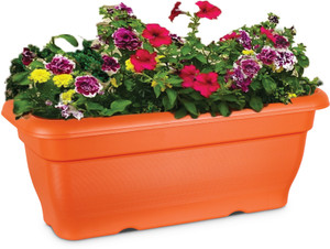 MILTON Rectangle Blossom Mate 3 Plastic Planter, 36 Litres, 1 Pc, Brown ...