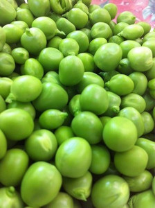 Chalisa Green Peas, Mutter, peas Seed Price in India - Buy Chalisa ...