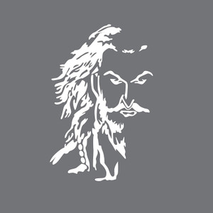 Helsov Sticker & Decal for Car & Bike Price in India - Buy Helsov ...