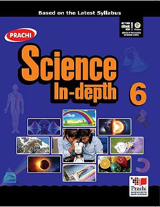 Science In-Depth Class 6: Buy Science In-Depth Class 6 by Neetu Tewari ...