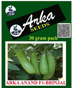 SM Exports Arka Anand brinjal vegetable seeds 30g ( pack of 1). Seed ...