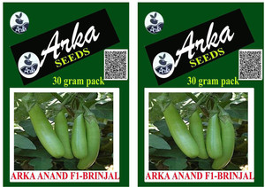 sm shop Arka Anand Brinjal vegetable seeds 30g seeds ( pack of 2). Seed ...