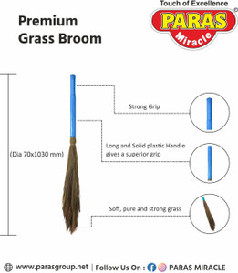 Paras Miracle Grass Dry Broom Price in India - Buy Paras Miracle Grass ...