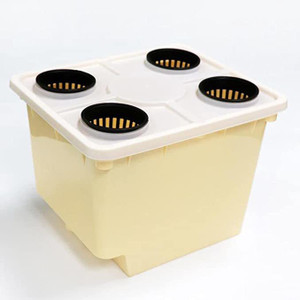 Farm Genie Hydroponics Dutch/Bato Bucket with Lid, Net pots & Siphon ...
