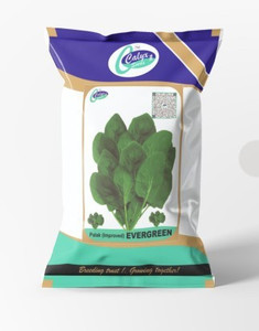 CALYXSEEDS : EVERGREEN, IMPROVED PALAK, SPINACH IMPROVED, PALAK ...