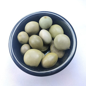 Garden Basket Kat Karanja Seeds - Kansa - Sagargota ? Caesalpinia ...