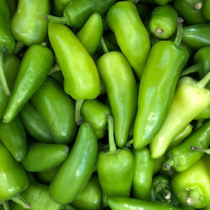 granthi Bullet Chilly/Green Chilly/Pickled chilli Seed Price in India ...