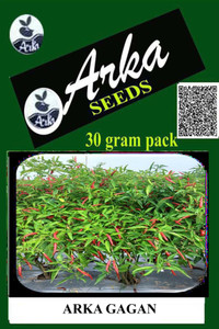 SM Exports " Arka Gagan " Chilly vegetable seeds 30g seeds per pack ...