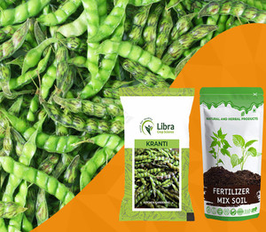 NATURAL AND HERBAL PRODUCTS Pigeon Bean Seeds for Home Garden | Farming ...