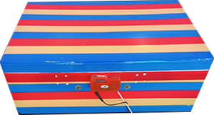 Hatchtech Fully Automatic 60 Eggs Durable EPS Thermocol Egg Incubator ...