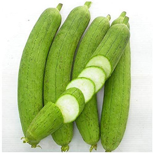 VibeX Hybrid SPONGE GOURD (Gilkhi), ALOK[100 Gms, 500 Seeds] Seed Price ...