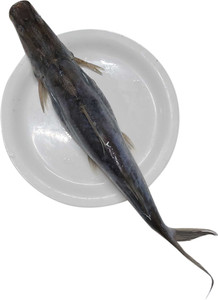 Big MeatMart kolkata Aar Mach - (With Head) Bengal Cut Price in India ...