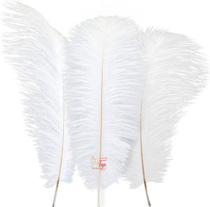 Tiptop Decoration Natural Dyed White Ostrich Feathers Quills (7-8 ...