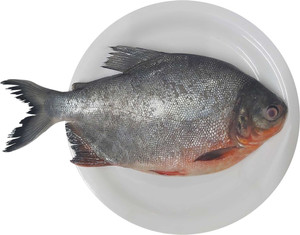 Big MeatMart River Roopchand/Pomfret - Steak Slices Price in India ...
