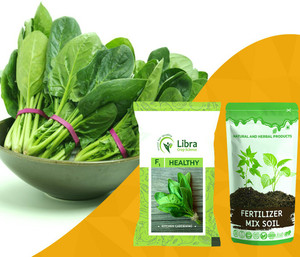NATURAL AND HERBAL PRODUCTS Green Spinach Seeds for Planting | Palak ...