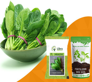 NATURAL AND HERBAL PRODUCTS Vegetable Seed | Palak | Farming | Home ...