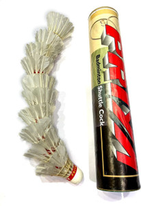 SHINE SPORTS Feather Champion Shuttlecock Standard Badminton ...