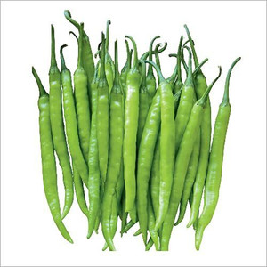 KANAYA Chilli Mirchi Seed Price in India - Buy KANAYA Chilli Mirchi ...
