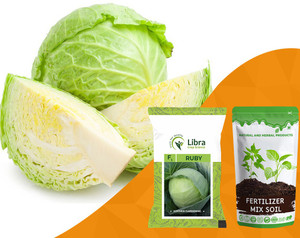 NATURAL AND HERBAL PRODUCTS Vegetable Seeds | Cabbage | Farming ...