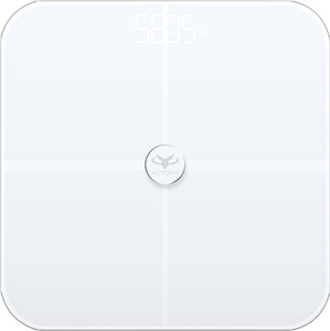 Actofit Smartscale Prime Body Fat Analyze to measure bmi, Visceral Fat ...