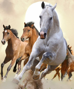 vastu horse _ animal paper Poster (Paper, 12X18 Inch Rolled ) Paper ...